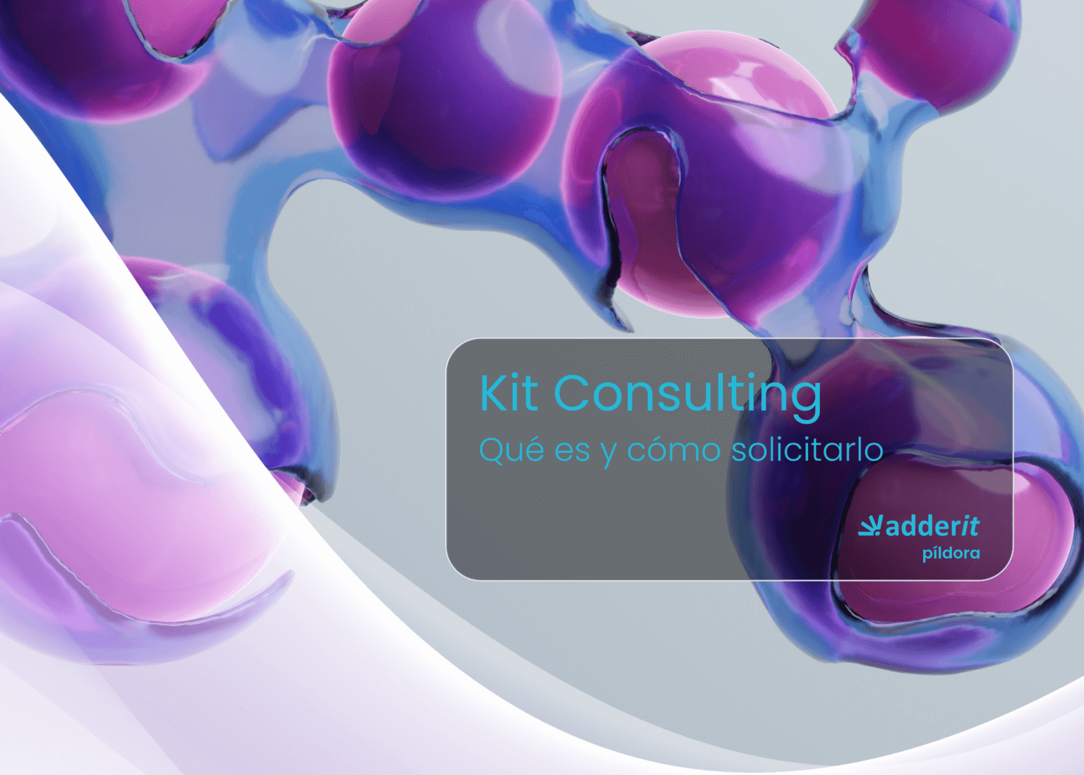 Kit Consulting: Subvenciones - Transformación Digital de las PYMES - Adderit